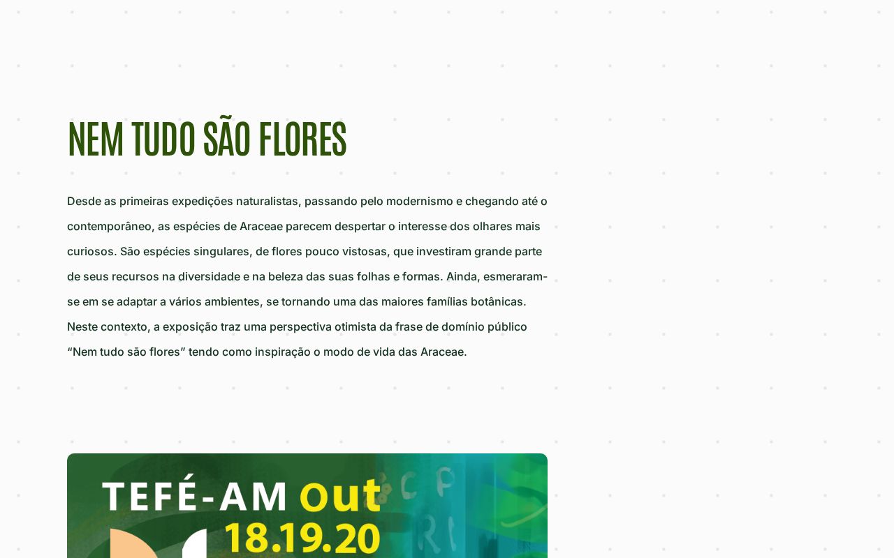 Projeto Nem Tudo São Flores
